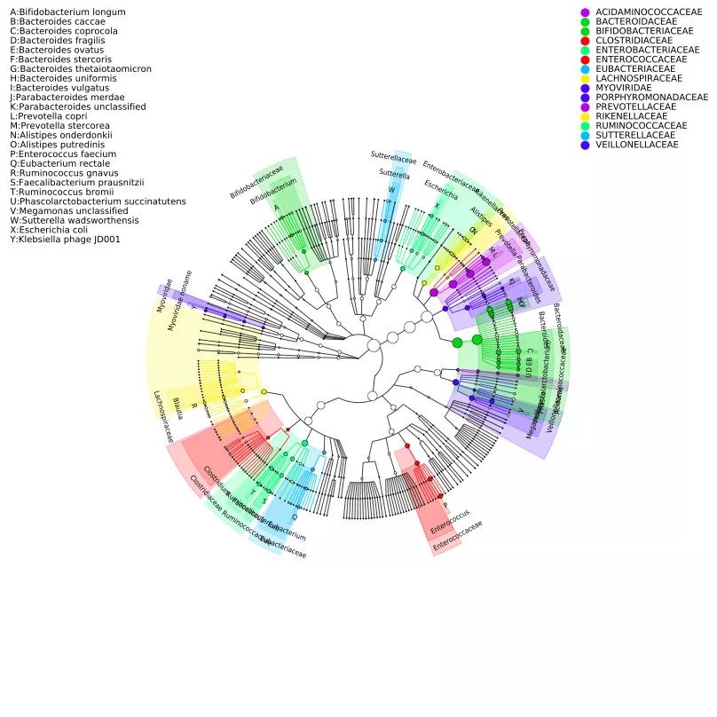 肠道菌群：宏基因组测序分析流程解读