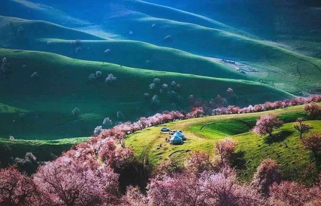 新疆伊犁杏花沟，探访最美人间四月天