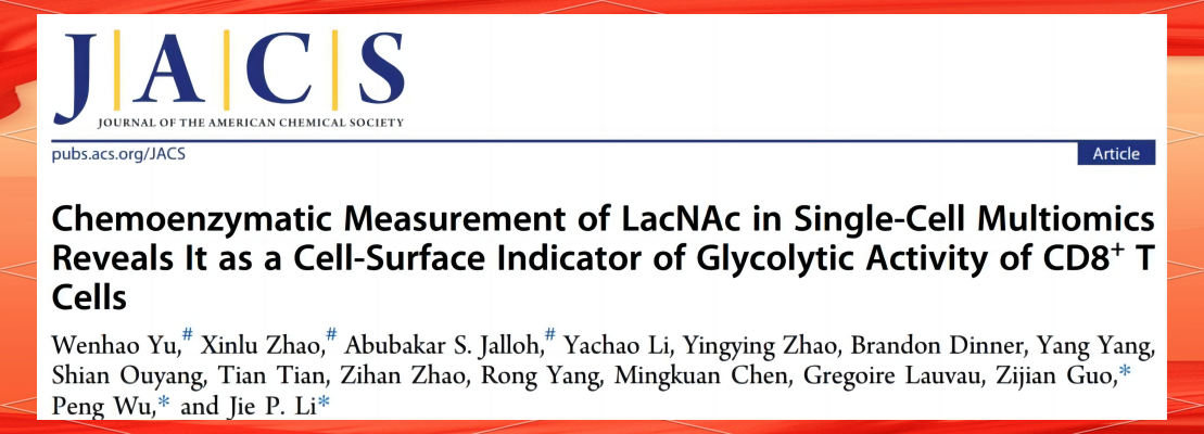糖基化：健康与疾病中的关键因素