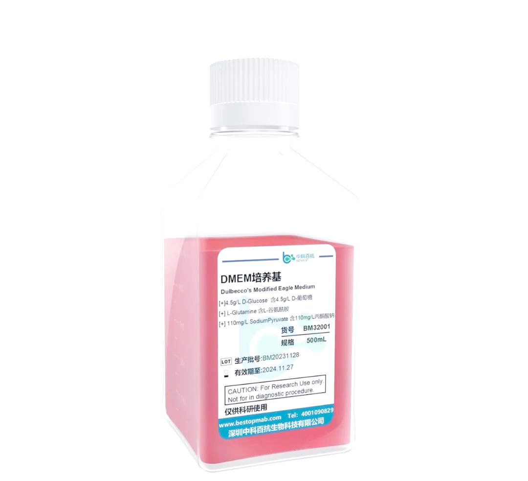 细胞培养基指南：DMEM与RPMI-1640的独特用途