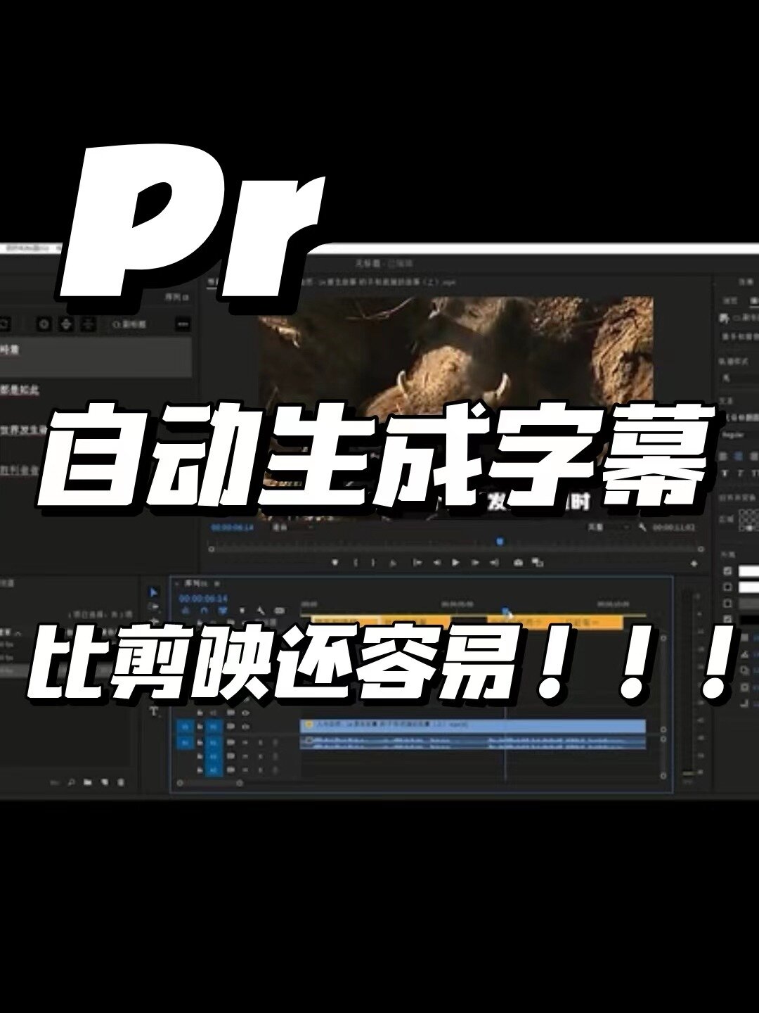 Pr自动生成字幕，比剪映还简单！-度小视