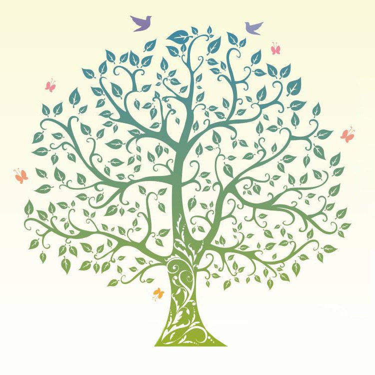 PI3Kα抑制剂GDC-0077（Inavolisib）治疗乳腺癌临床数据及安全性