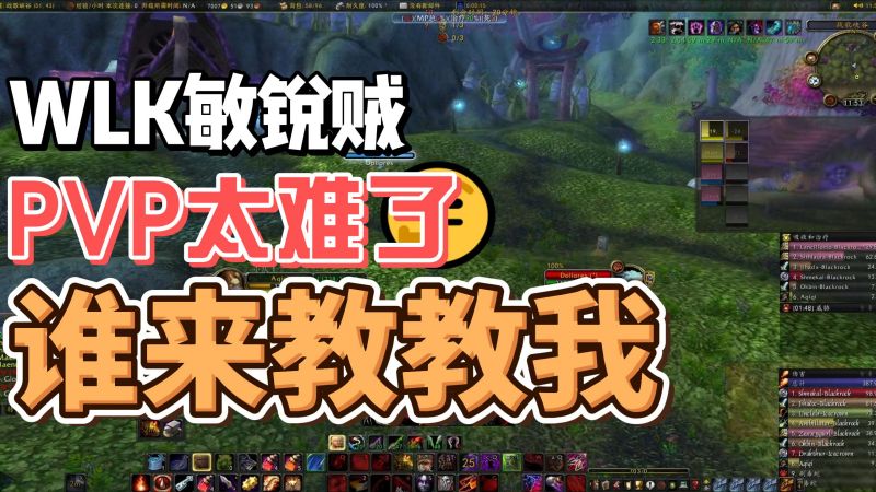 魔兽世界WLK敏锐贼PVP太难了，是我菜还是这个职业菜啊？兄弟们,游戏,rpg游戏,好看视频