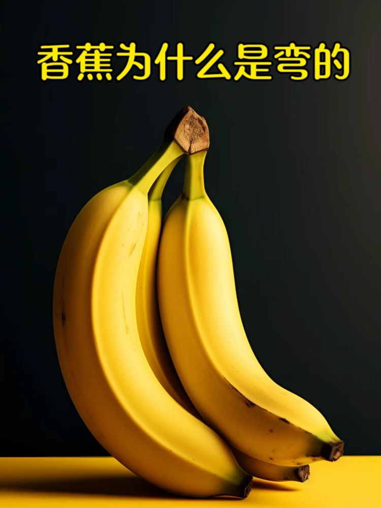香蕉为什么是弯的,而不是直的呢 科学 生命科学 好看视频