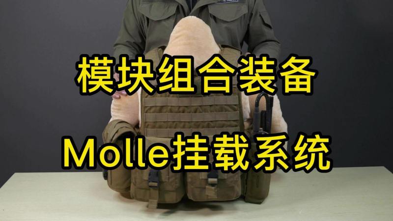 MOLLE/PALS模块化挂载系统简介 战术装备入门系列,军事,武器装备,好看视频
