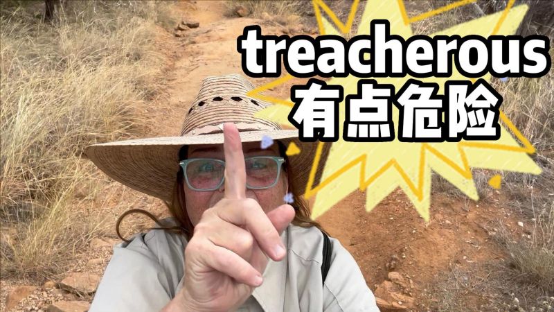 treacherous是什么意思,教育,高等教育,好看视频