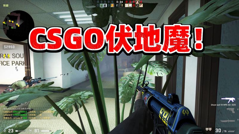 CSGO伏地魔！,游戏,射击游戏,好看视频