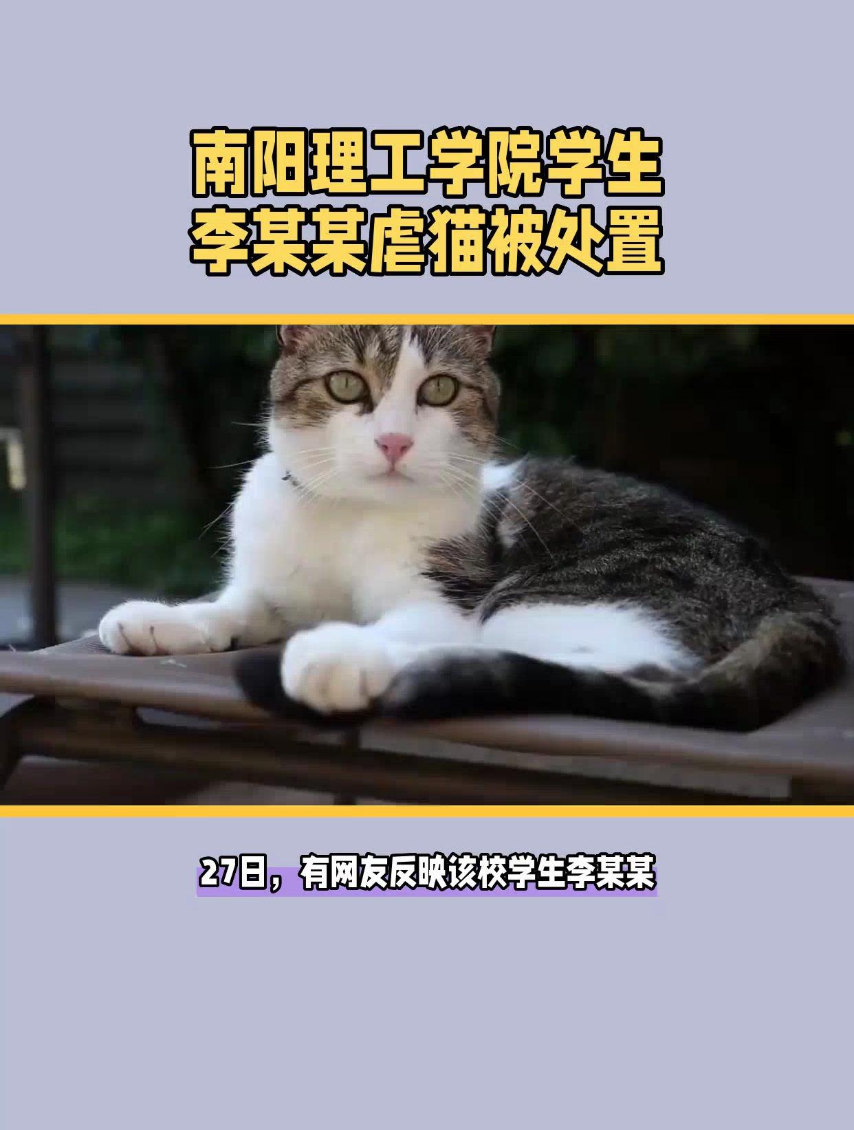 学生发布虐猫视频 南阳理工通报 度小视