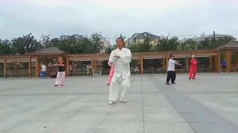 公园里的武术达人，太极拳打的非常漂亮，不比某些大师差！体育武术好看视频