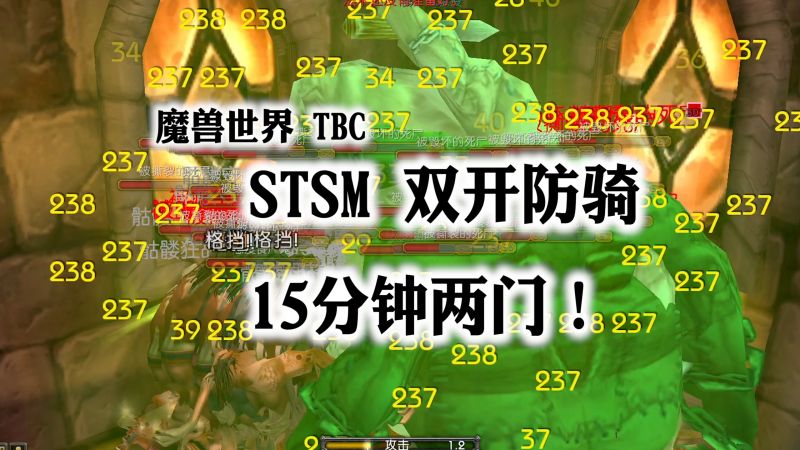 「魏斌」魔兽世界TBC：双开防骑STSM打钱，一小时8门！,游戏,RPG游戏,好看视频