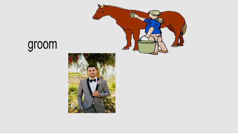 groom是什么意思，如何使用,科学,科普,好看视频
