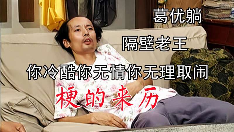 梗的来历1:隔壁老王、你冷酷你无情你无理取闹、葛优躺动漫国产动漫好看视频