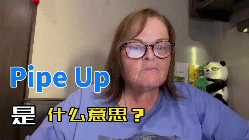 pipe up是什么意思？,教育,兴趣学习,好看视频