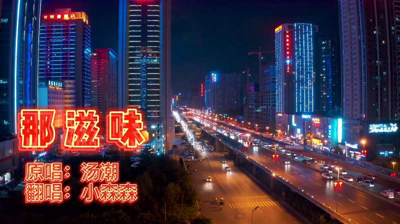 伤感情歌《那滋味》，又名《苦咖啡》，汤潮原唱你听过吗？音乐流行音乐好看视频
