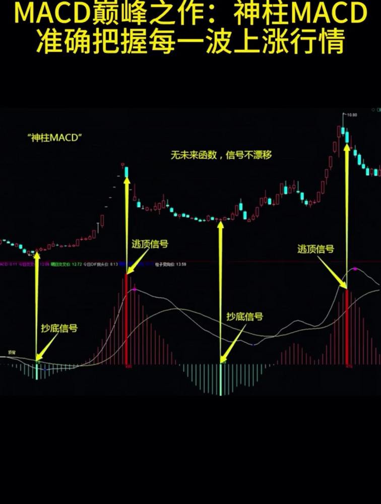 MACD巅峰之作，神柱MACD，准确把握每一波上涨行情！,财经,股票,好看视频