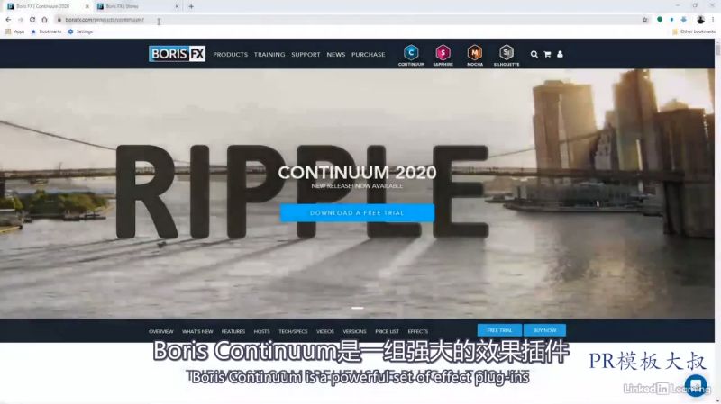 Ae/Pr视觉特效和转场BCC2020插件 (中英文字幕)教程 Lynda,教育,资格考试,好看视频