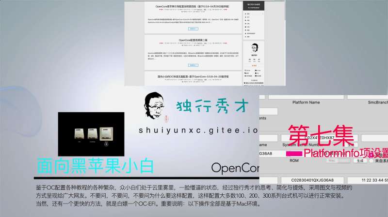 面向小白的OpenCore(OC)引导黑苹果快速无脑配置第七集,科技,信息安全,好看视频