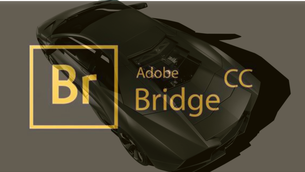 Adobe Bridge 2023版本下载安装教程-快速入门
