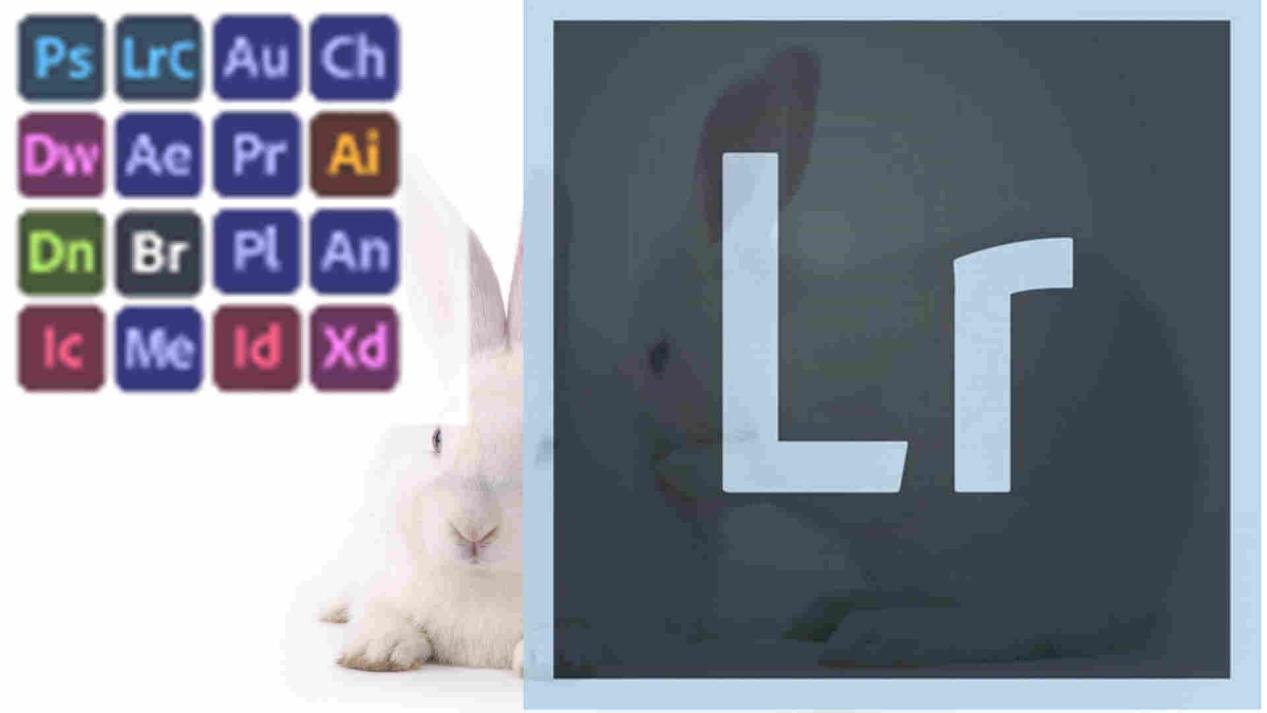 Adobe Lightroom 2023安装激活教程-Lightroom Classic2022