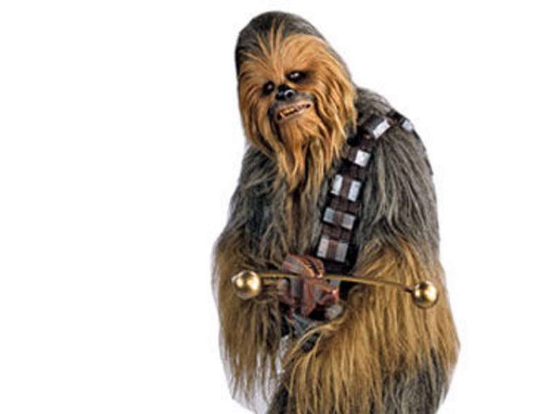 一分钟了解楚巴卡,文化历史,文化艺术,好看视频